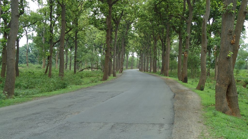 Jharkhand - Land of Forest