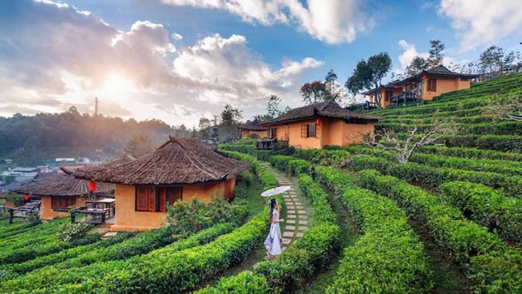 Nagaland Tourism