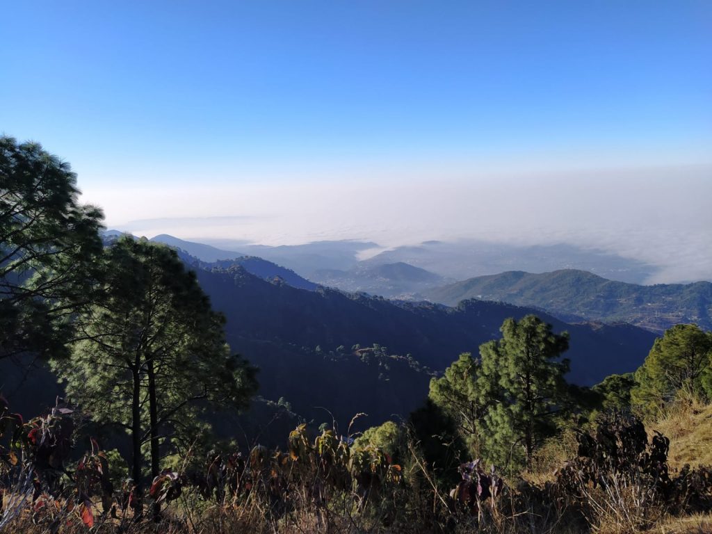 Best of Kasauli: The Nature’s Splendour