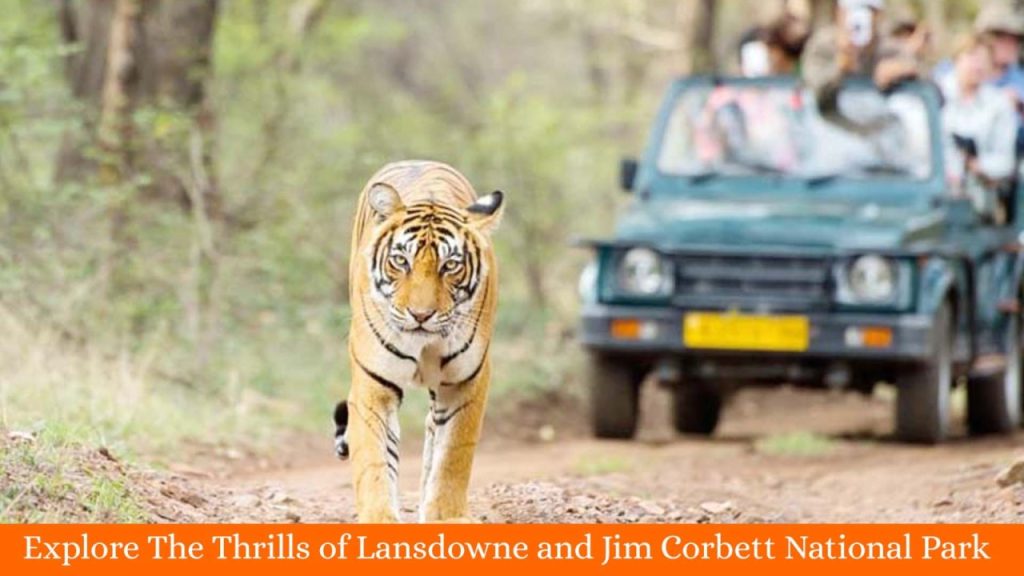 Jim Corbett National Park: Where Wilderness Meets Serenity